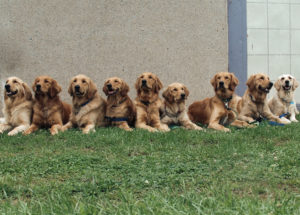 About Us - Retrieving Independence