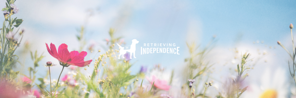 2025 Spring Update: April & May - Retrieving Independence